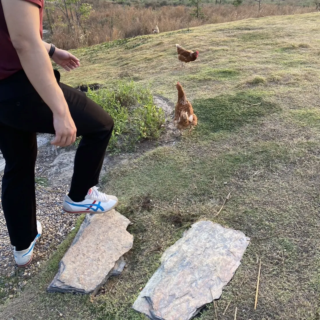 โพสต์ ของ Jonathan Sam|Lemon8