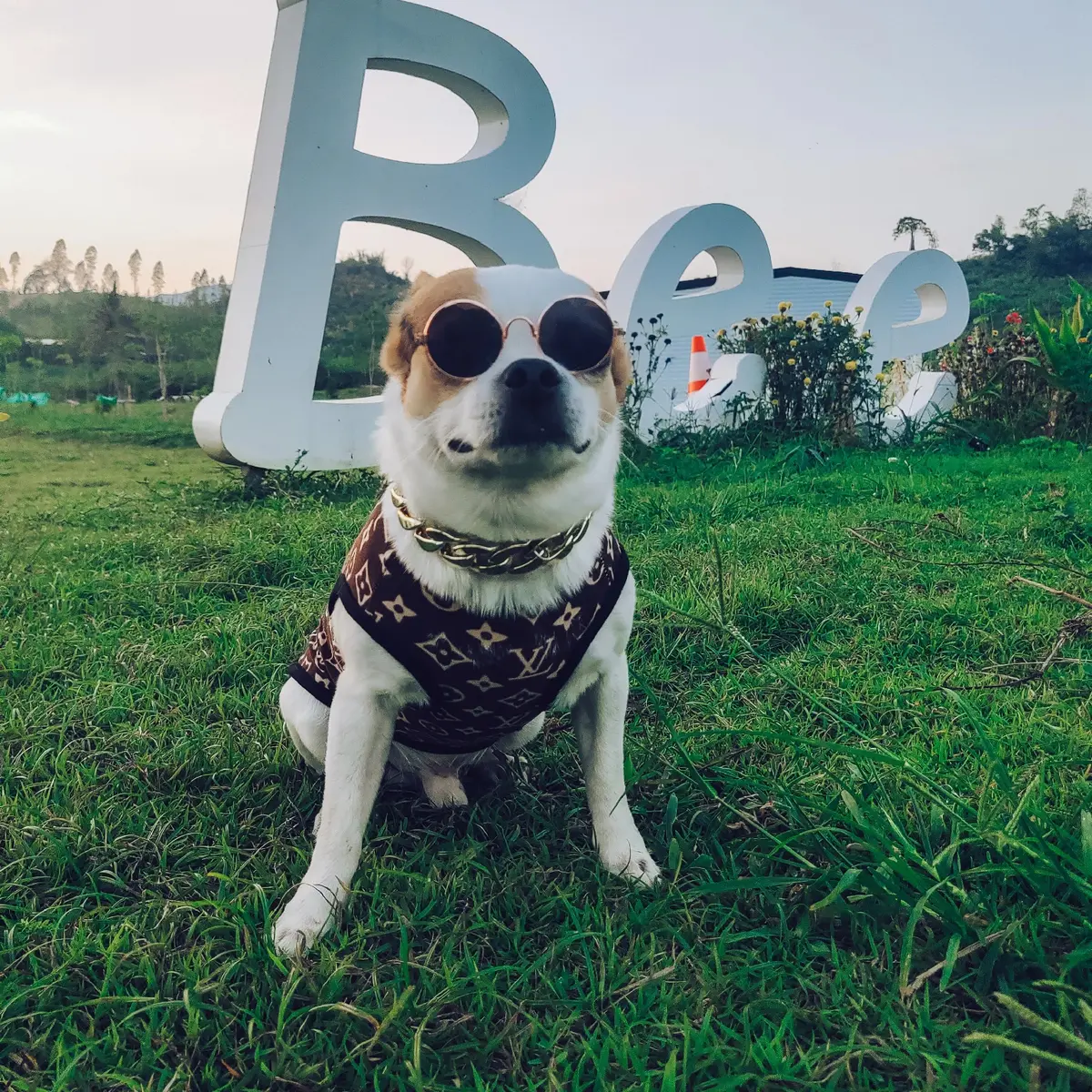 โพสต์ ของ Sexypink-26|Lemon8