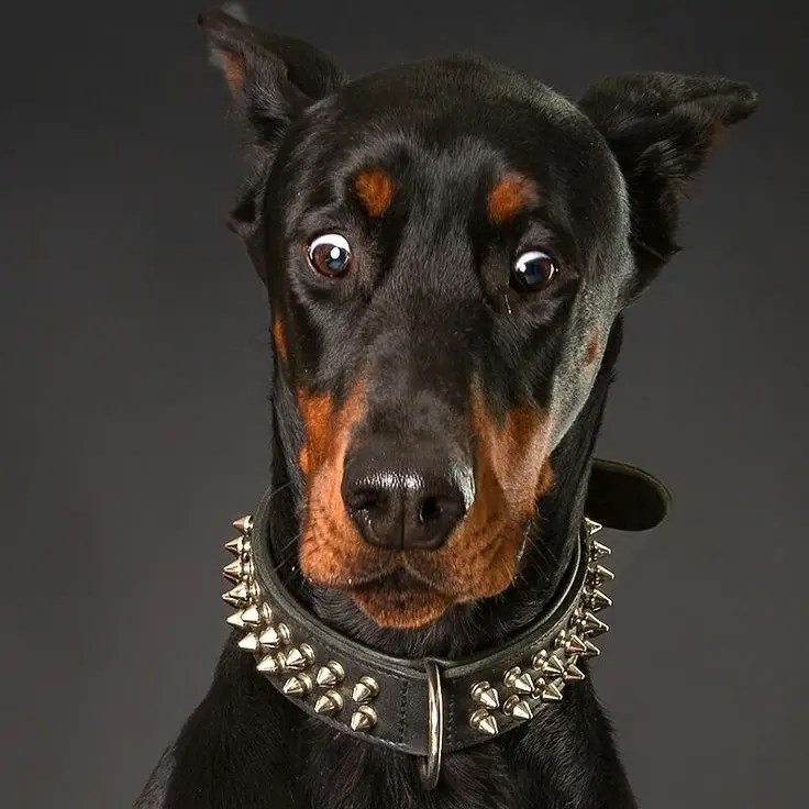 โพสต์ ของ sarin.s|Lemon8