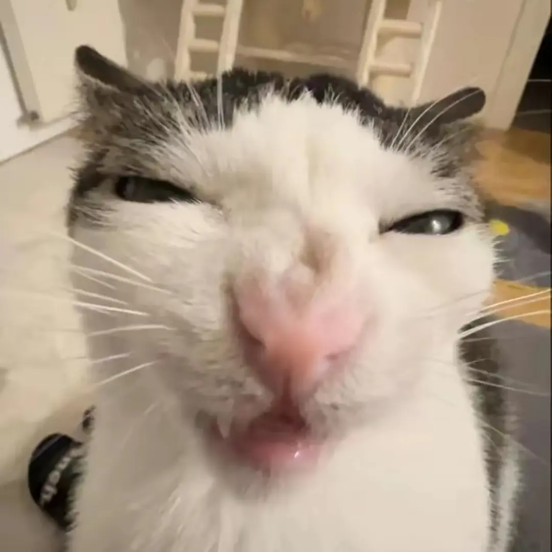 โพสต์ ของ Atom__zaa~|Lemon8