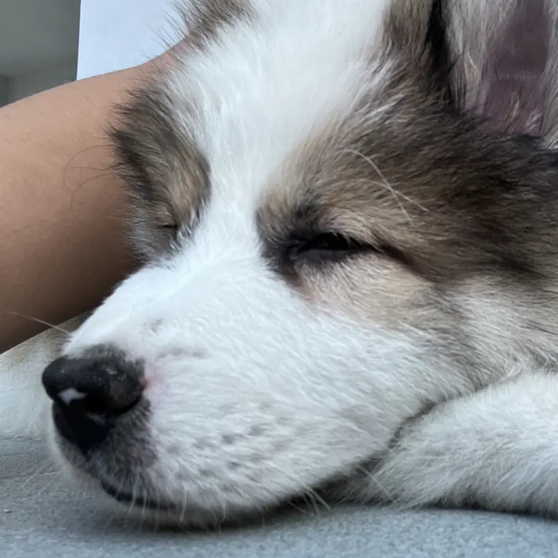 โพสต์ ของ Tonnam Waingsei|Lemon8