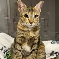 โพสต์ ของ Joobjang Amponp|Lemon8