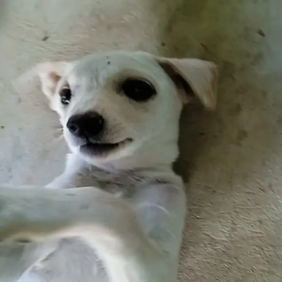 โพสต์ ของ Nut|Lemon8