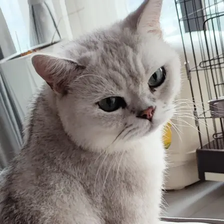 โพสต์ ของ I am peter |Lemon8