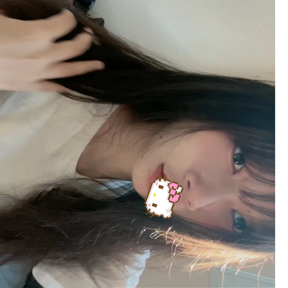 โพสต์ ของ ying |Lemon8