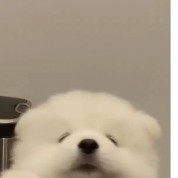 โพสต์ ของ d5rl|Lemon8