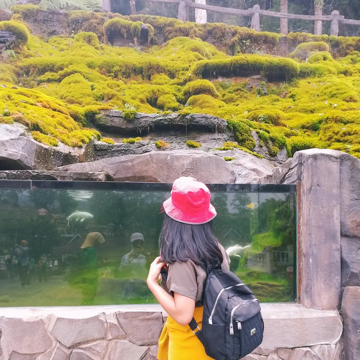 โพสต์ ของ Bebi bo|Lemon8