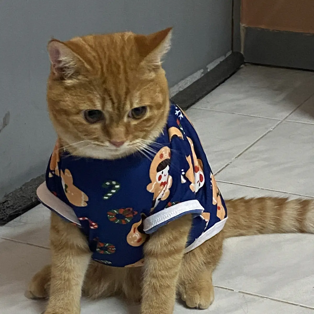 โพสต์ ของ Iitim_mp|Lemon8