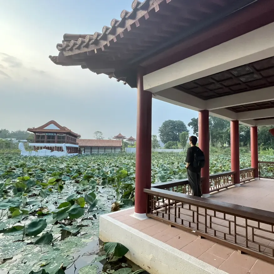 Hanbaobao's Post|Lemon8