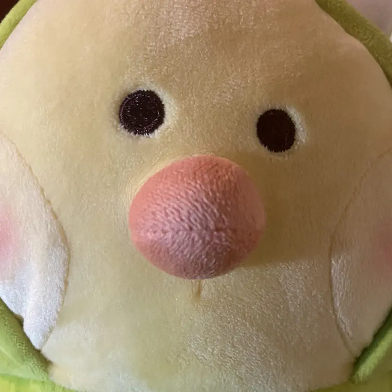 โพสต์ ของ top|Lemon8