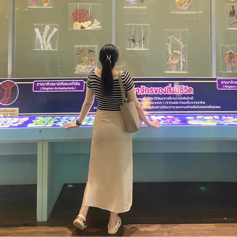 โพสต์ ของ Khun Lada|Lemon8