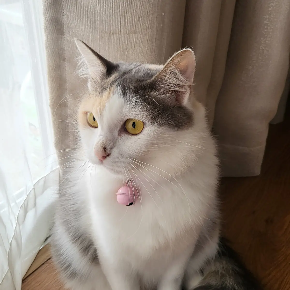 โพสต์ ของ PloyPloy|Lemon8