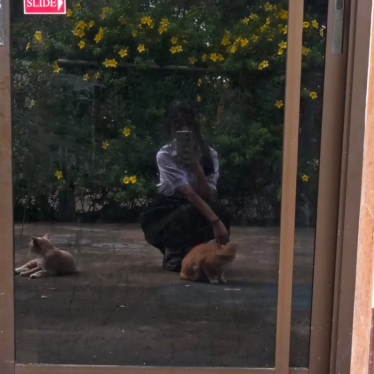 โพสต์ ของ K|Lemon8