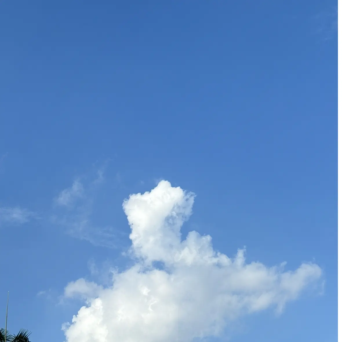 โพสต์ ของ Lala|Lemon8