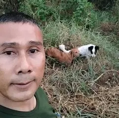 โพสต์ ของ Sunthon Boonch|Lemon8