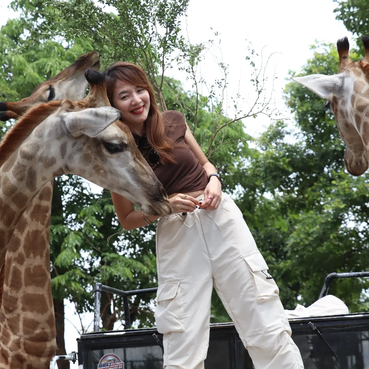 โพสต์ ของ Napichaya Koi|Lemon8