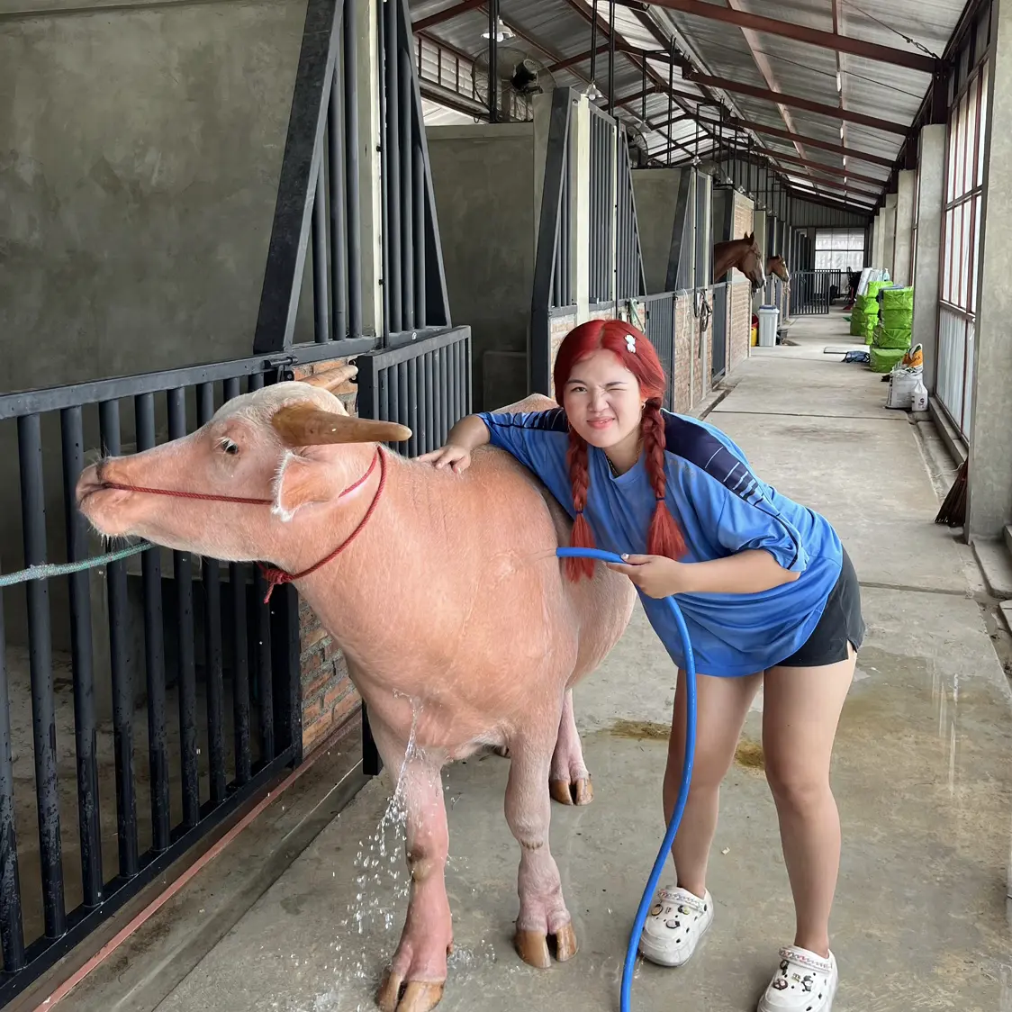 โพสต์ ของ Nes Jatiya|Lemon8