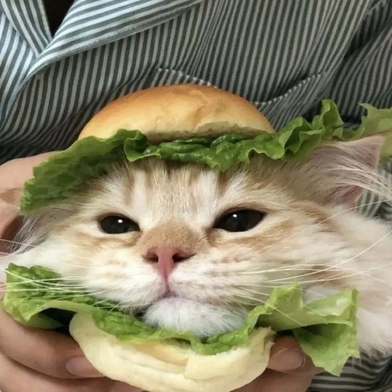 โพสต์ ของ Ingdao_nn|Lemon8