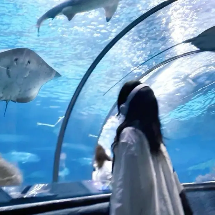 โพสต์ ของ P_im~~|Lemon8