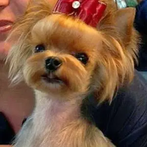 โพสต์ ของ Baanyana Mong|Lemon8