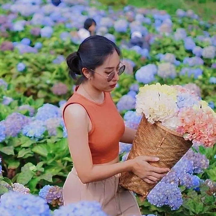 โพสต์ ของ Ammy.p159|Lemon8