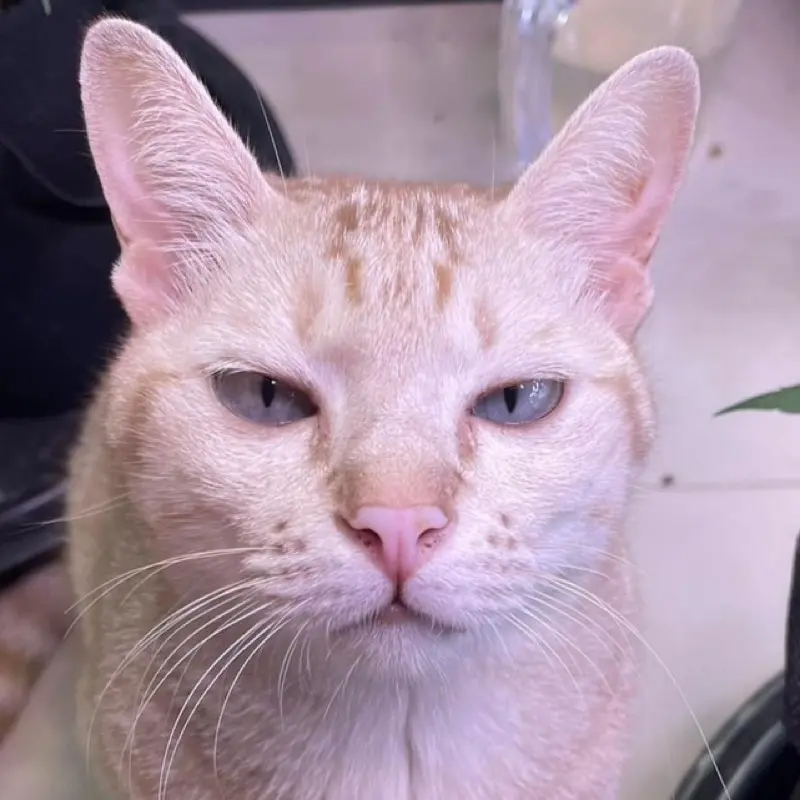 โพสต์ ของ TOP|Lemon8