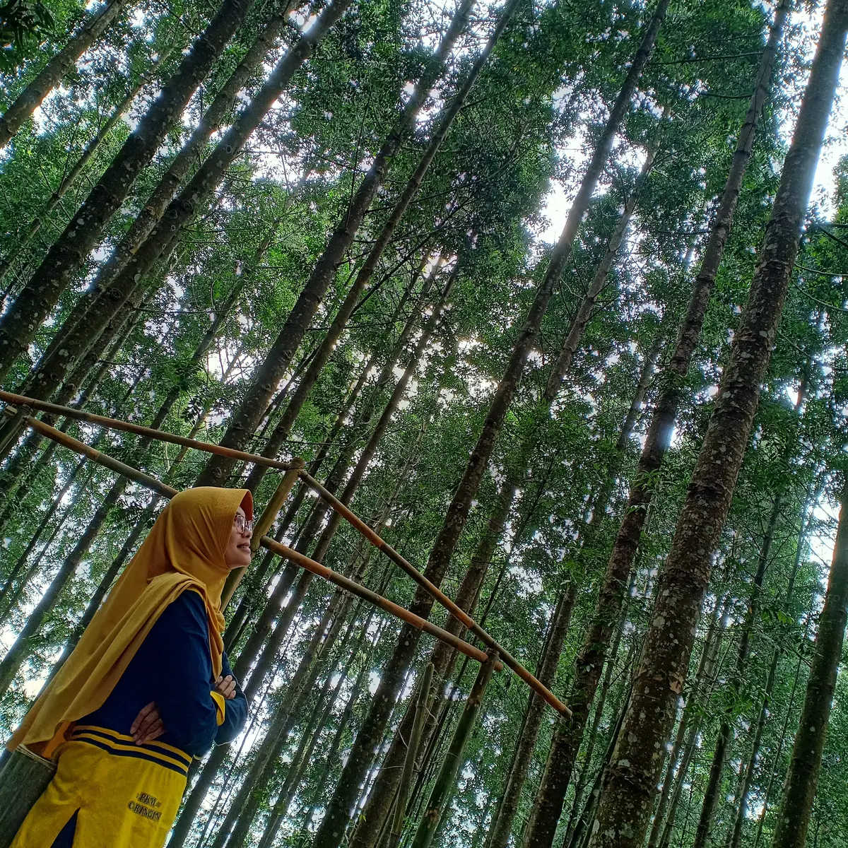 Siarkan 💚RUMAH CERA ️|Lemon8