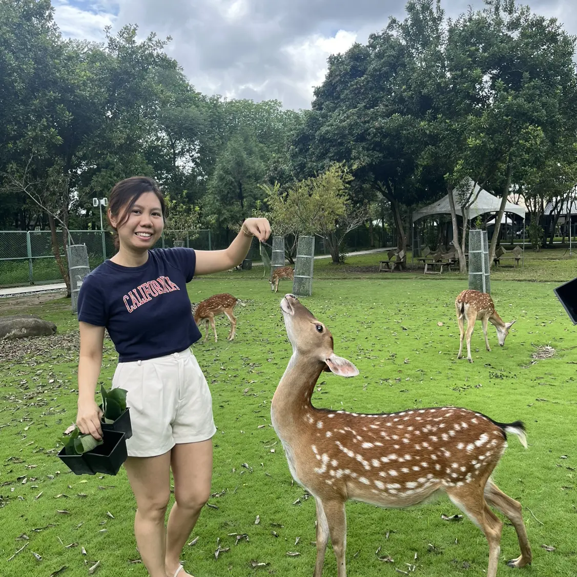 โพสต์ ของ Cynthia|Lemon8