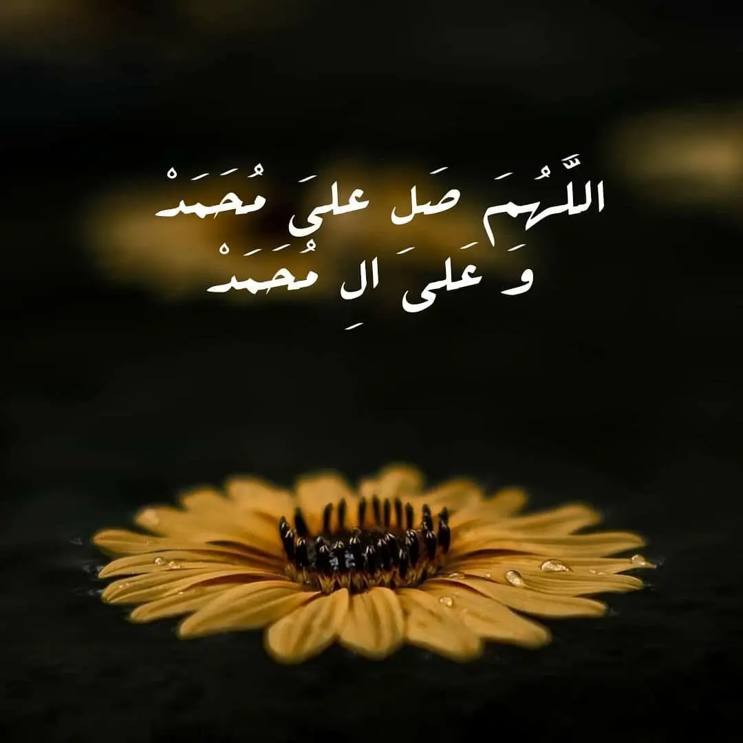 โพสต์ ของ Umie Safiyyah|Lemon8