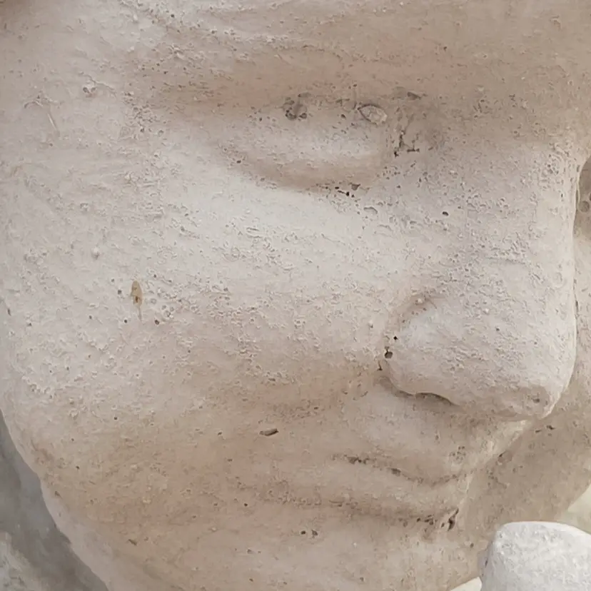 โพสต์ ของ uwu.system32|Lemon8