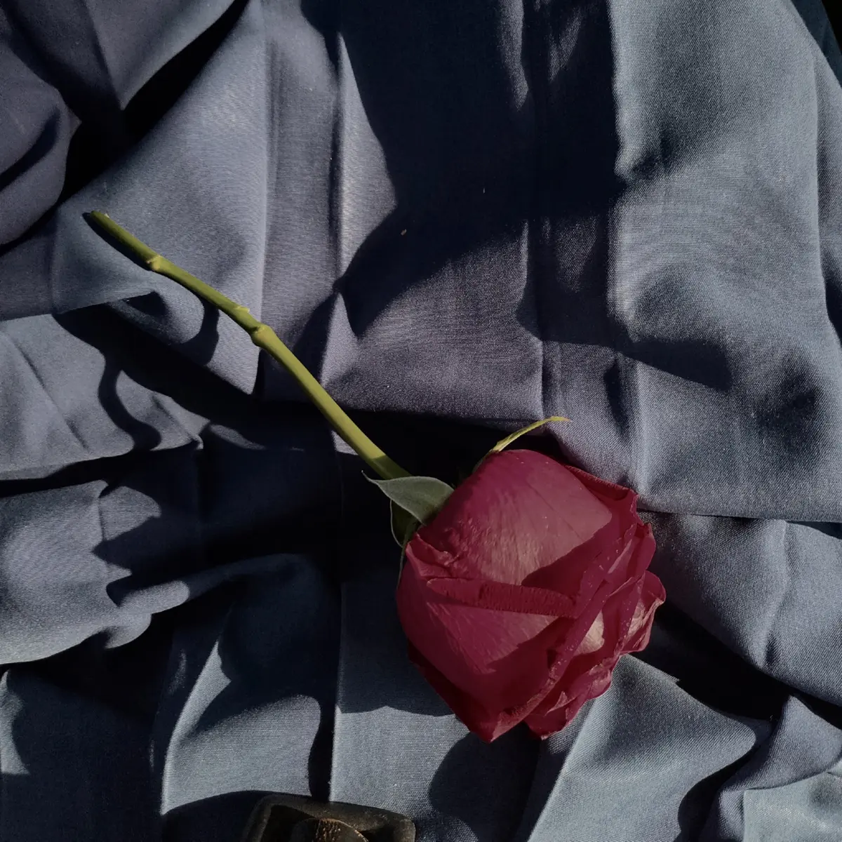 โพสต์ ของ pp.first_|Lemon8