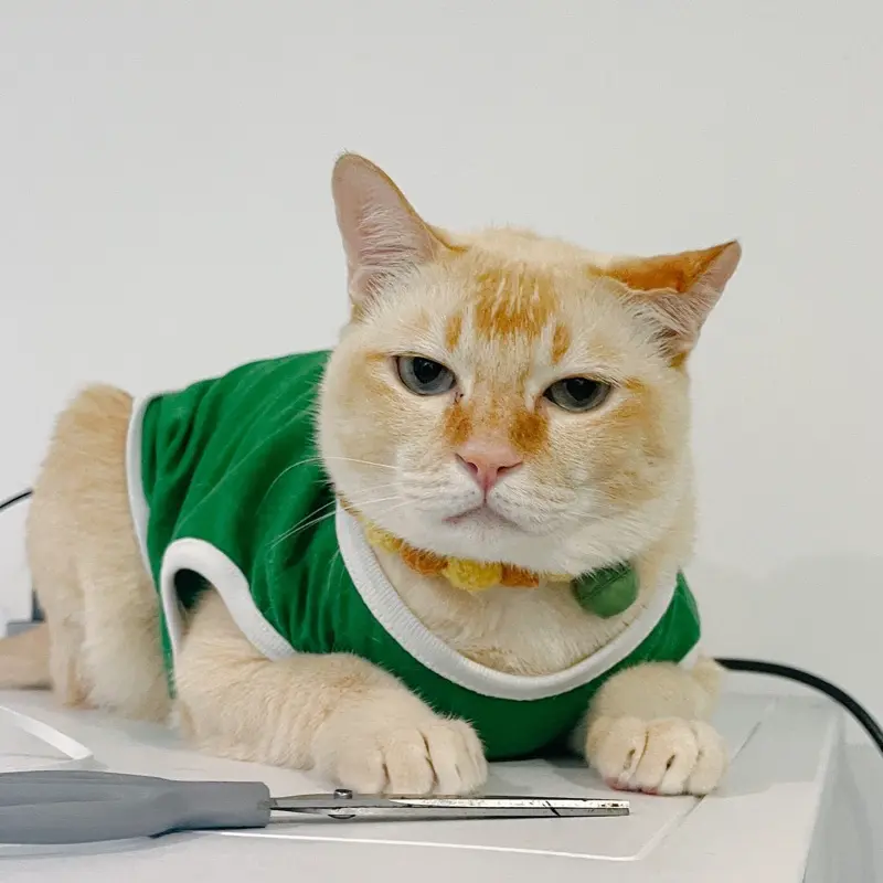 โพสต์ ของ AJ |Lemon8