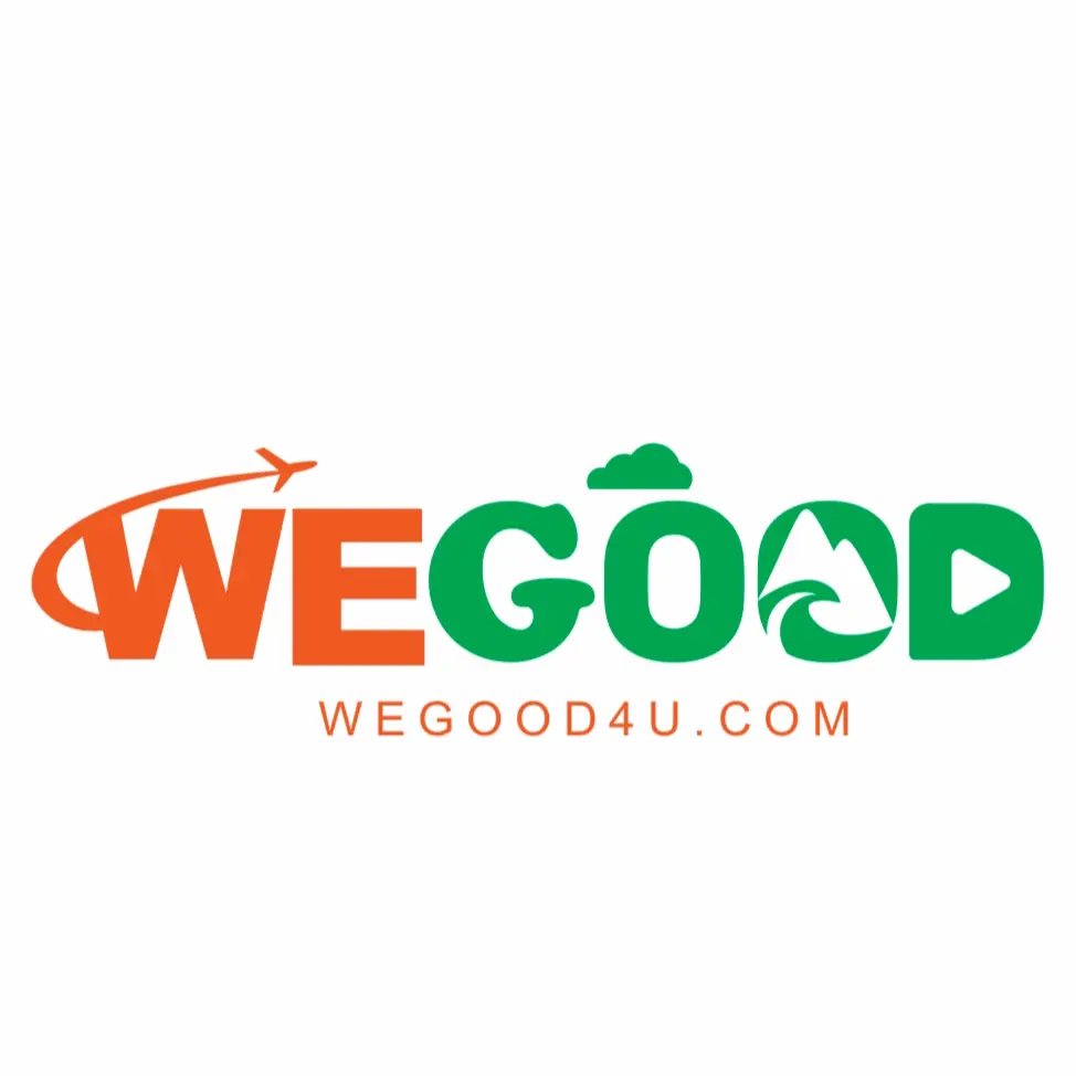 โพสต์ ของ Wegood4u |Lemon8