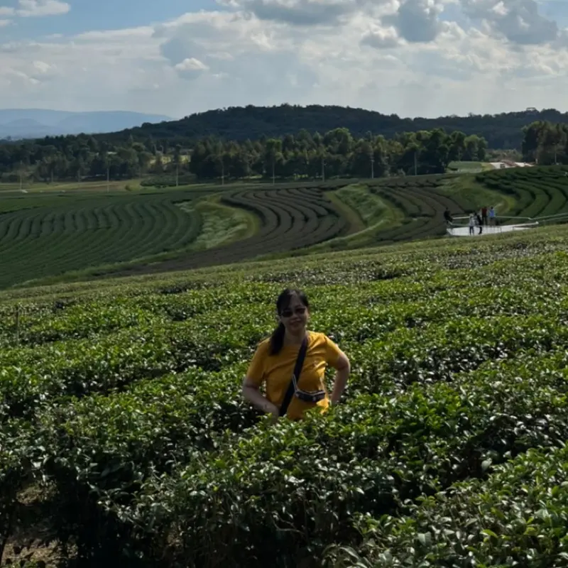 โพสต์ ของ Jiw|Lemon8