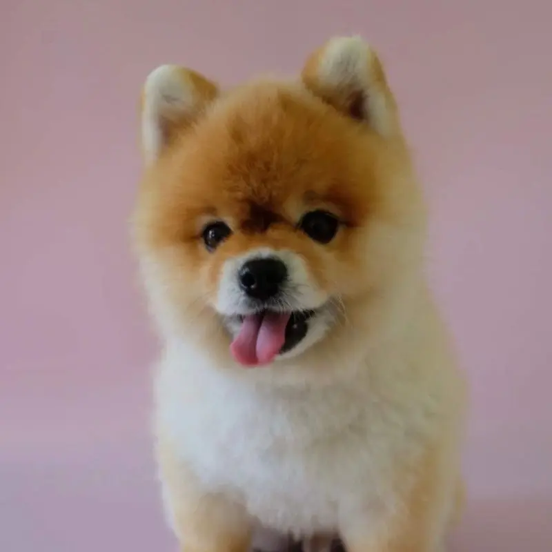 โพสต์ ของ Mhew|Lemon8