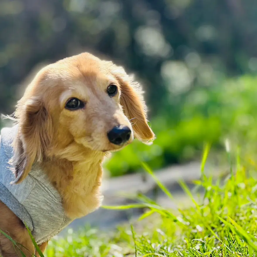 โพสต์ ของ nsr_mama|Lemon8