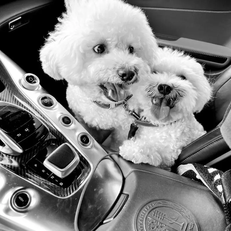 โพสต์ ของ M|Lemon8