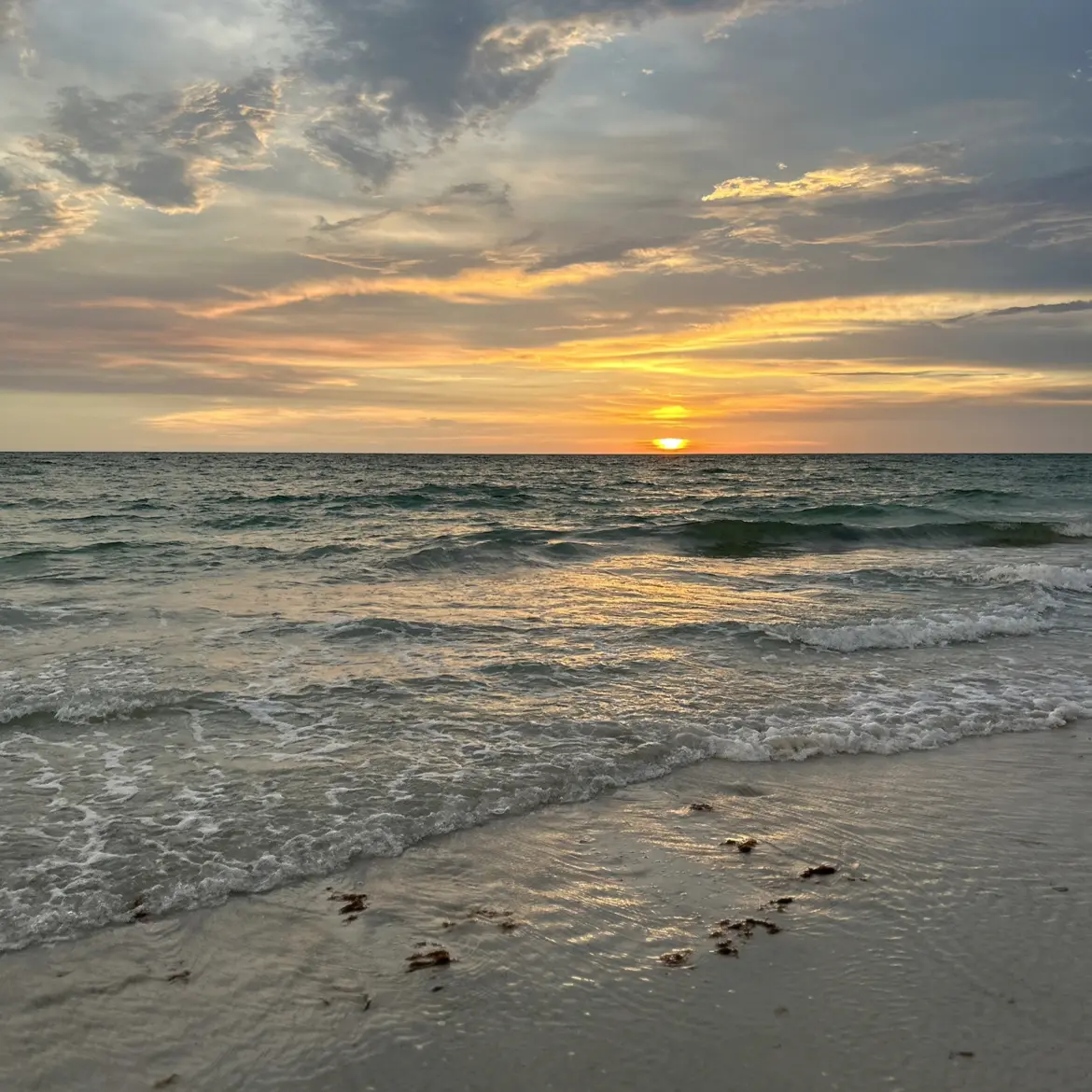 โพสต์ ของ layla.h|Lemon8