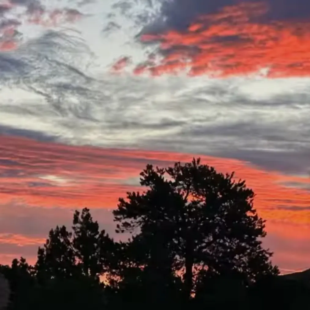 โพสต์ ของ Sunshine|Lemon8