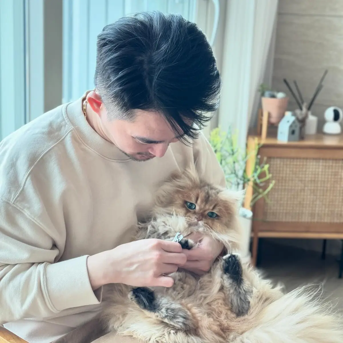 โพสต์ ของ Joon Hyun|Lemon8