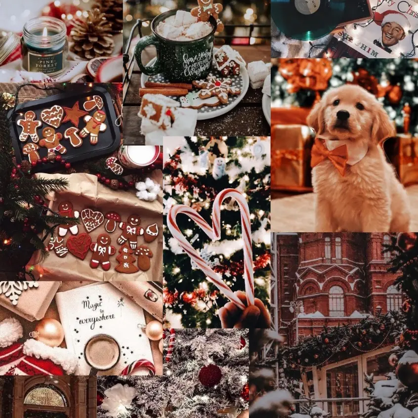 โพสต์ ของ RyRy🍁🍂|Lemon8