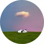 โพสต์ ของ Ash|Lemon8