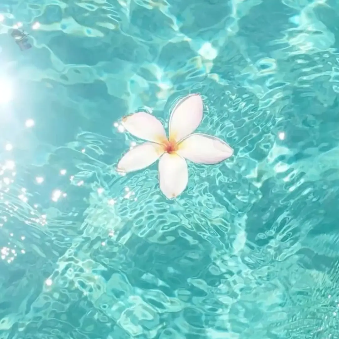 โพสต์ ของ 💙black queen|Lemon8